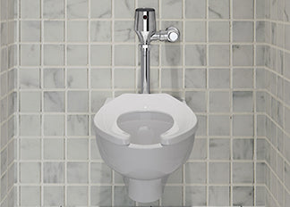 Toilets - One-Piece, Two-Piece, Elongated, Round, Compact Toilets & More